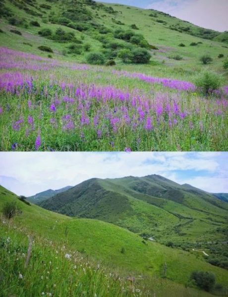 鹧鸪山海拔多少米_鹧鸪山海拔高度是多少-第3张图片-山城妙识 鹧鸪山海拔多少米_鹧鸪山海拔高度是多少-第3张图片-山城妙识