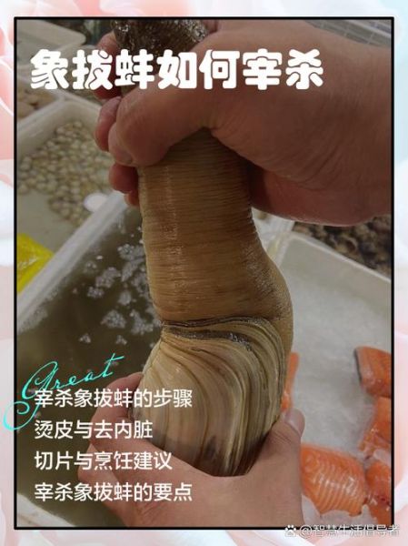 象拔蚌app是什么_象拔蚌app怎么用-第2张图片-山城妙识 象拔蚌app是什么_象拔蚌app怎么用-第2张图片-山城妙识