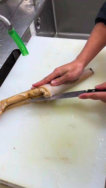 象拔蚌app是什么_象拔蚌app怎么用-第3张图片-山城妙识 象拔蚌app是什么_象拔蚌app怎么用-第3张图片-山城妙识