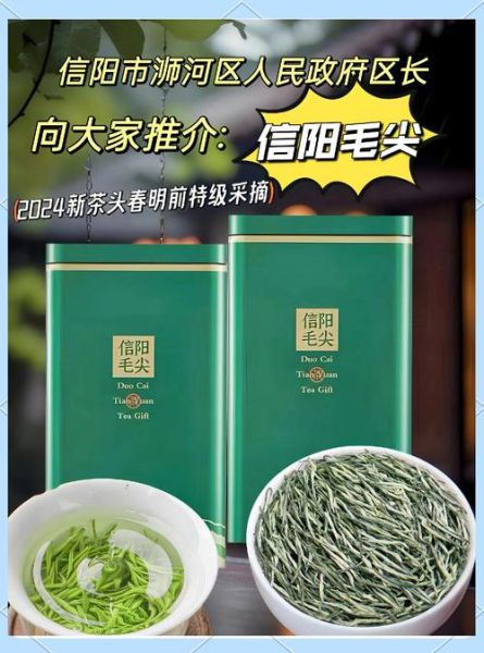 信阳毛尖属于什么档次_信阳毛尖价格区间-第1张图片-山城妙识
