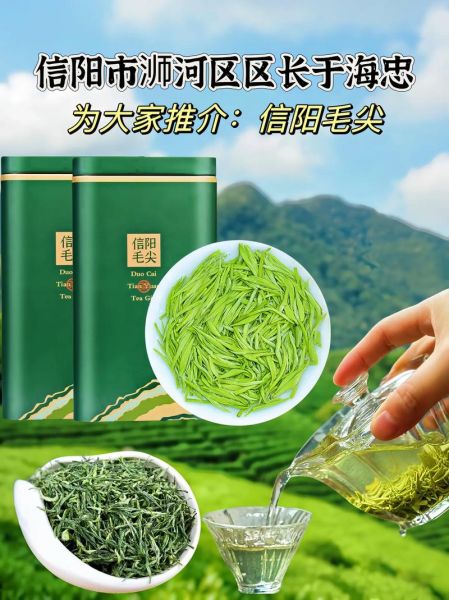 信阳毛尖属于什么档次_信阳毛尖价格区间-第2张图片-山城妙识