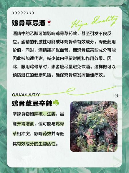 鸡骨草不能和什么同吃_鸡骨草与哪些食物相克-第1张图片-山城妙识 鸡骨草不能和什么同吃_鸡骨草与哪些食物相克-第1张图片-山城妙识