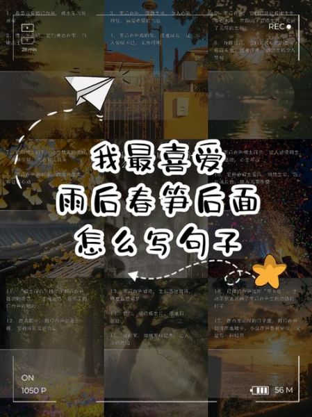 雨后春笋造句_如何用雨后春笋造句-第2张图片-山城妙识