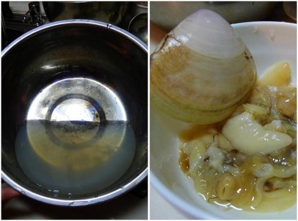 西施舌是什么_西施舌怎么做好吃-第2张图片-山城妙识