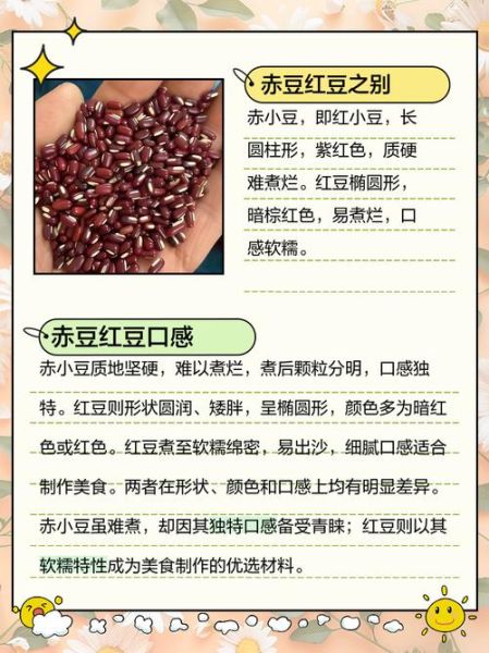 红豆与赤小豆的区别_哪个祛湿效果更好-第1张图片-山城妙识 红豆与赤小豆的区别_哪个祛湿效果更好-第1张图片-山城妙识