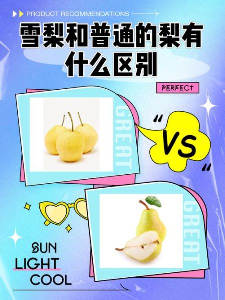 雪梨长什么样_雪梨和普通梨的区别-第1张图片-山城妙识 雪梨长什么样_雪梨和普通梨的区别-第1张图片-山城妙识