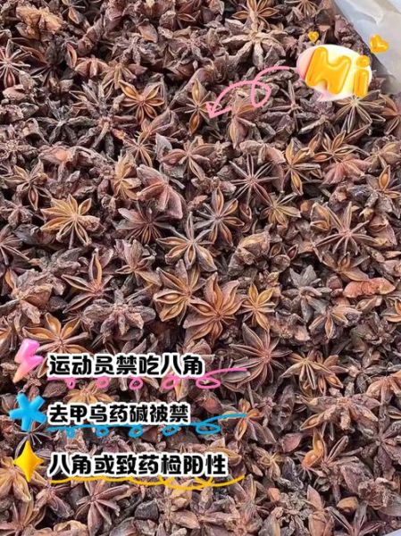 八角丁虫子有毒吗_八角丁虫子咬了怎么办-第3张图片-山城妙识