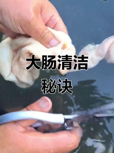 肥肠怎么清洗才干净_肥肠最正宗的做法-第3张图片-山城妙识