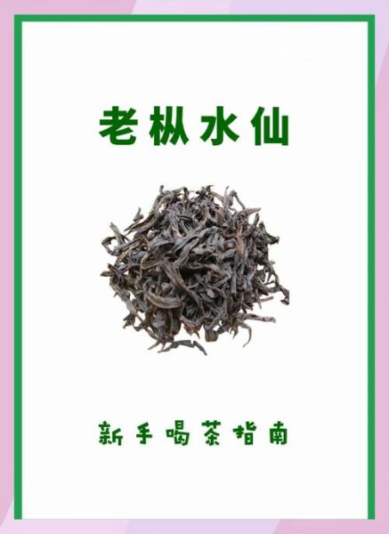 水仙茶的功效与作用_水仙茶适合什么人喝-第3张图片-山城妙识