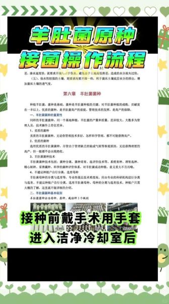 羊肚菌种植技术规程_羊肚菌怎么种-第1张图片-山城妙识 羊肚菌种植技术规程_羊肚菌怎么种-第1张图片-山城妙识