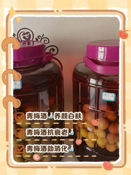 青梅酒的功效与作用_青梅酒的禁忌症-第2张图片-山城妙识 青梅酒的功效与作用_青梅酒的禁忌症-第2张图片-山城妙识