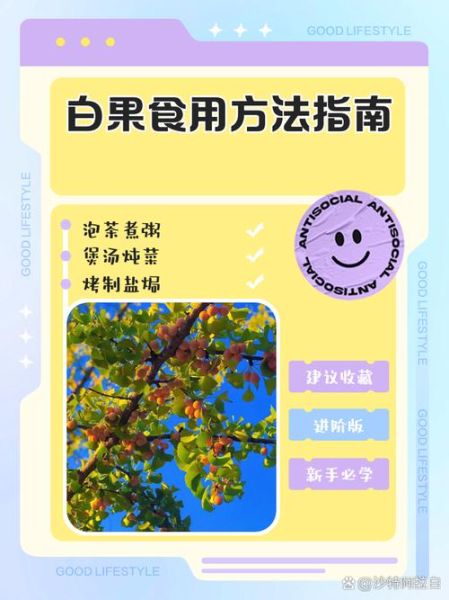 白果怎么吃_白果的正确食用方法-第1张图片-山城妙识 白果怎么吃_白果的正确食用方法-第1张图片-山城妙识