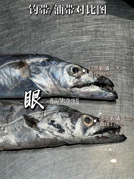 刀鱼和带鱼的区别_哪个更好吃-第2张图片-山城妙识