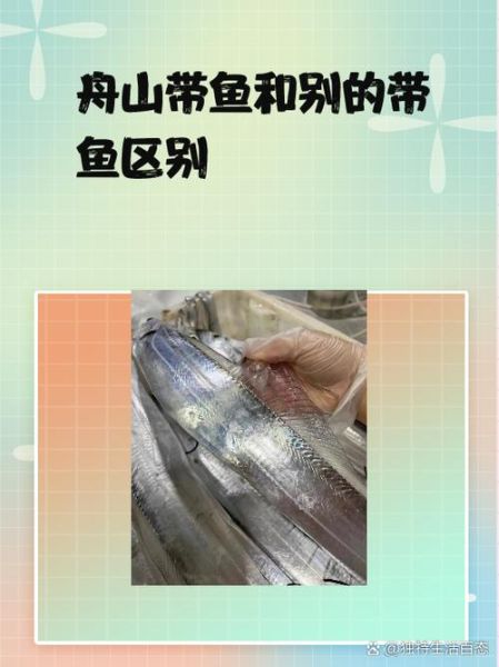 刀鱼和带鱼的区别_哪个更好吃-第1张图片-山城妙识