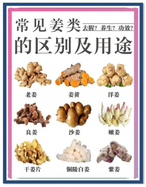 黄姜和姜黄一样吗_黄姜与姜黄的区别-第1张图片-山城妙识