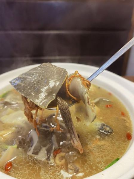 甲鱼焖鸡的做法大全_甲鱼焖鸡怎么做好吃又营养-第2张图片-山城妙识