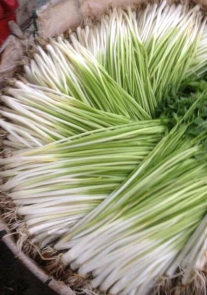 水芹菜图片_水芹菜怎么辨认-第2张图片-山城妙识