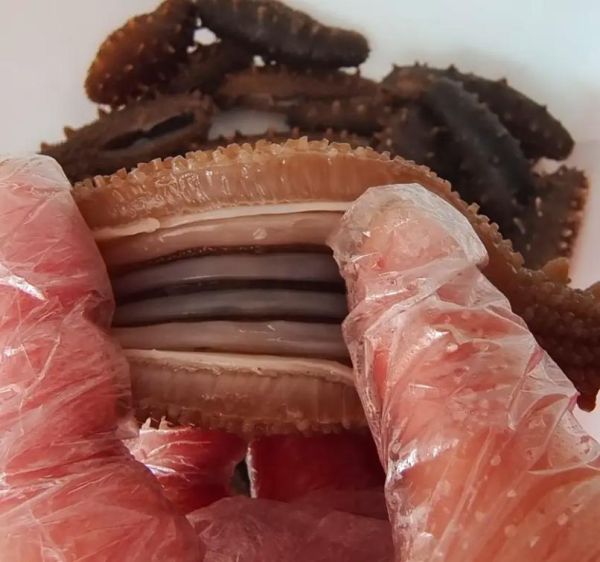 大连海参240一斤贵吗_值不值-第3张图片-山城妙识