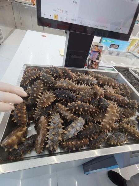大连海参240一斤贵吗_值不值-第1张图片-山城妙识