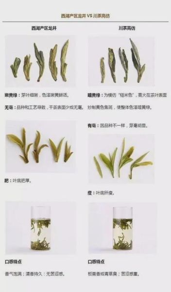 西湖龙井是红茶还是绿茶_如何区分龙井茶类-第1张图片-山城妙识