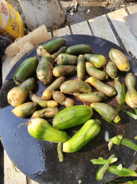 青萝卜咸菜怎么腌制_青萝卜咸菜的做法大全-第1张图片-山城妙识 青萝卜咸菜怎么腌制_青萝卜咸菜的做法大全-第1张图片-山城妙识