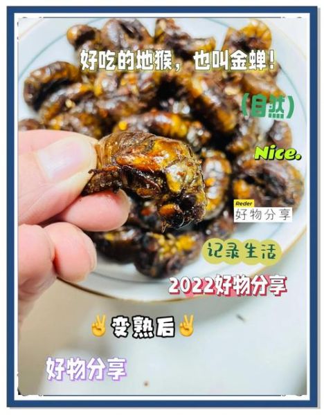 知了猴的功效与作用_知了猴怎么吃最补-第2张图片-山城妙识