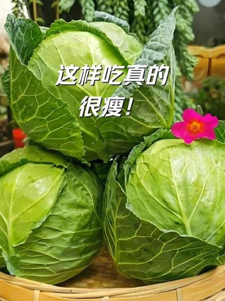包菜热量是多少_减肥能吃包菜吗-第3张图片-山城妙识