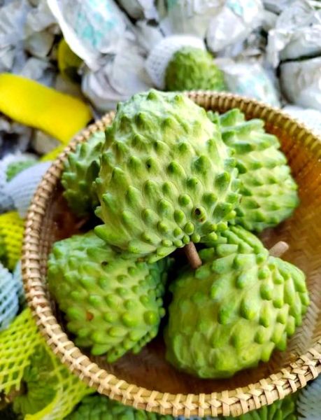 释迦果好吃吗_释迦果什么味道-第1张图片-山城妙识 释迦果好吃吗_释迦果什么味道-第1张图片-山城妙识