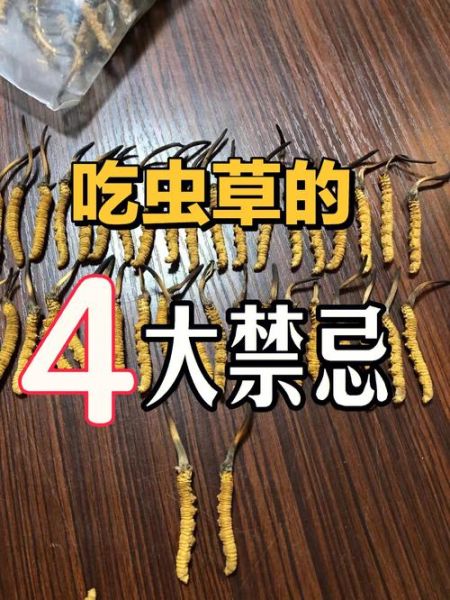 虫草不适合什么人吃_哪些体质不能吃虫草-第3张图片-山城妙识 虫草不适合什么人吃_哪些体质不能吃虫草-第3张图片-山城妙识