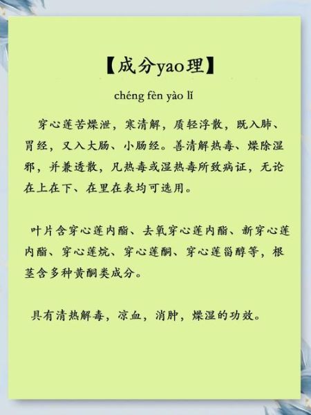 穿心莲的功效与作用_穿心莲的副作用有哪些-第1张图片-山城妙识