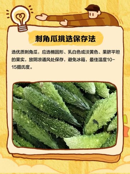 刺角瓜怎么吃_刺角瓜的正确吃法-第1张图片-山城妙识 刺角瓜怎么吃_刺角瓜的正确吃法-第1张图片-山城妙识