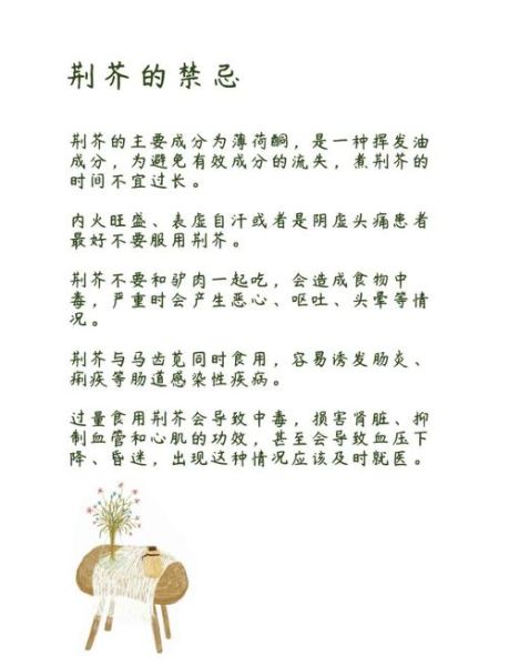 荆芥的功效与作用禁忌_荆芥怎么吃效果最好-第1张图片-山城妙识