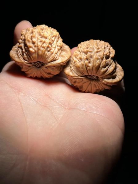 闷尖狮子头是什么_闷尖狮子头怎么盘玩-第2张图片-山城妙识 闷尖狮子头是什么_闷尖狮子头怎么盘玩-第2张图片-山城妙识