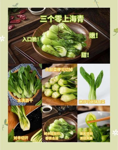 上海青菜怎么炒好吃_炒上海青不黄不老的秘诀-第3张图片-山城妙识