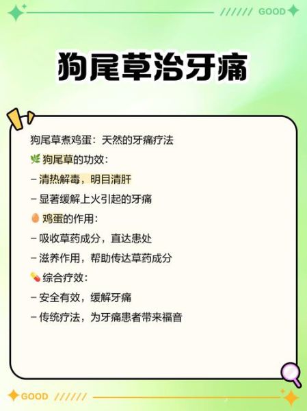 狗尾巴草的功效与作用_狗尾巴草能治什么病-第3张图片-山城妙识