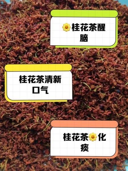 鲜桂花怎么处理才能泡水喝_鲜桂花泡水喝的正确方法-第1张图片-山城妙识 鲜桂花怎么处理才能泡水喝_鲜桂花泡水喝的正确方法-第1张图片-山城妙识