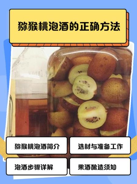 猕猴桃泡酒的功效与作用_猕猴桃泡酒能放多久-第1张图片-山城妙识
