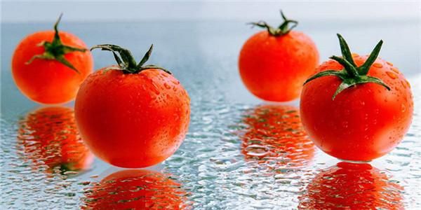 我吃西红柿2021新书啥时候出_番茄新书发布时间表-第3张图片-山城妙识