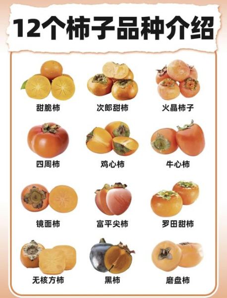 柿子品种大全名称_哪种最好吃-第1张图片-山城妙识