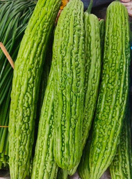 吃什么菜通便最快最好_便秘吃什么蔬菜最快排便-第3张图片-山城妙识 吃什么菜通便最快最好_便秘吃什么蔬菜最快排便-第3张图片-山城妙识