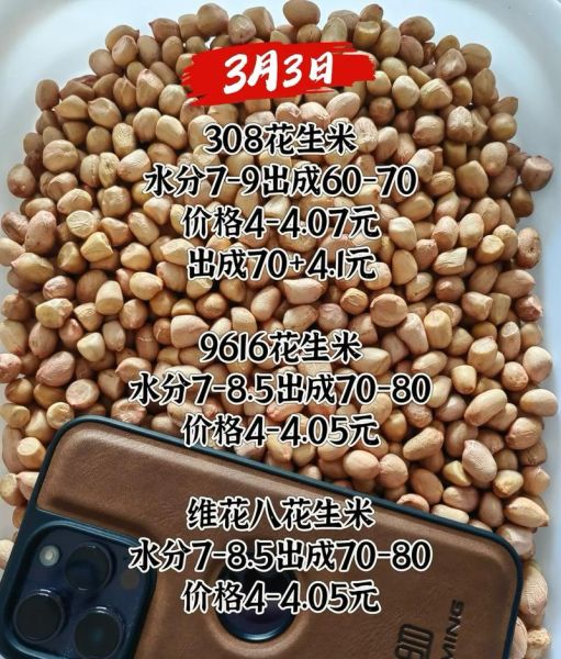 花生价格什么时候会涨_花生几月涨价-第1张图片-山城妙识
