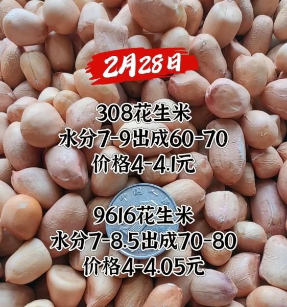 花生价格什么时候会涨_花生几月涨价-第2张图片-山城妙识