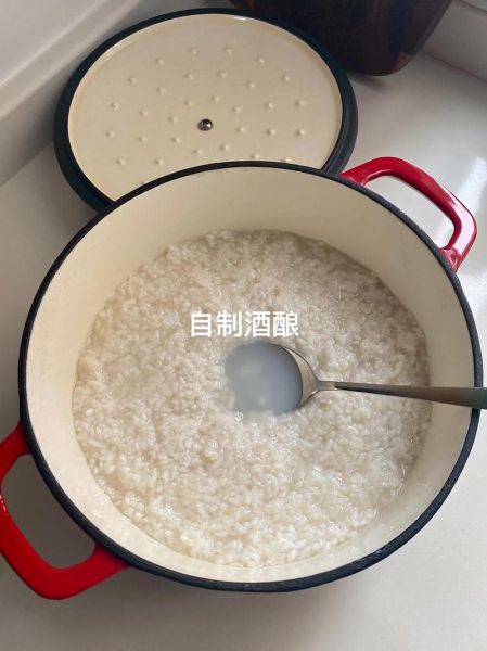 酒酿的做法大全_家庭自制酒酿失败原因-第1张图片-山城妙识