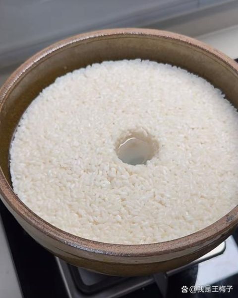 酒酿的做法大全_家庭自制酒酿失败原因-第3张图片-山城妙识