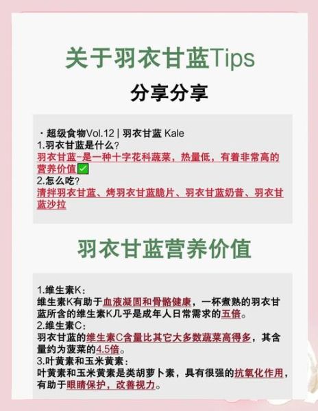 羽衣甘蓝的营养价值_羽衣甘蓝怎么吃最有营养-第1张图片-山城妙识 羽衣甘蓝的营养价值_羽衣甘蓝怎么吃最有营养-第1张图片-山城妙识