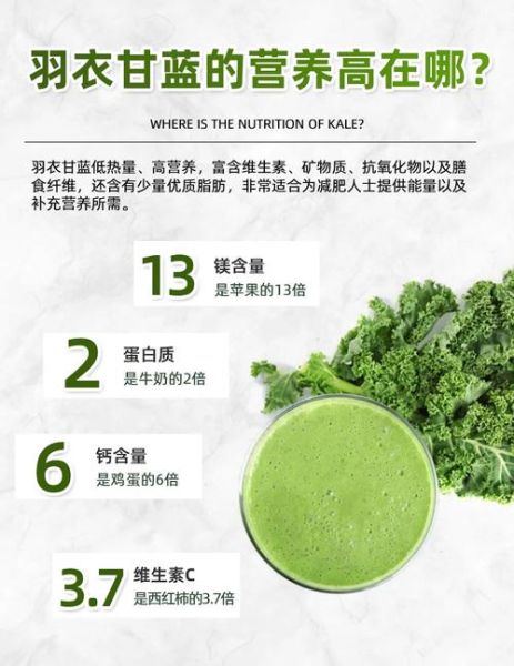 羽衣甘蓝的营养价值_羽衣甘蓝怎么吃最有营养-第2张图片-山城妙识 羽衣甘蓝的营养价值_羽衣甘蓝怎么吃最有营养-第2张图片-山城妙识