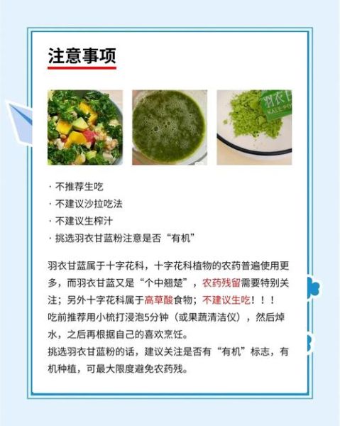 羽衣甘蓝的营养价值_羽衣甘蓝怎么吃最有营养-第3张图片-山城妙识 羽衣甘蓝的营养价值_羽衣甘蓝怎么吃最有营养-第3张图片-山城妙识