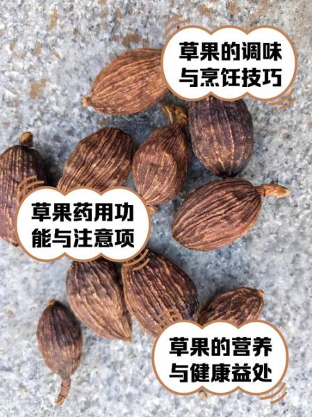 草果的功效与作用_草果怎么吃效果最好-第3张图片-山城妙识 草果的功效与作用_草果怎么吃效果最好-第3张图片-山城妙识