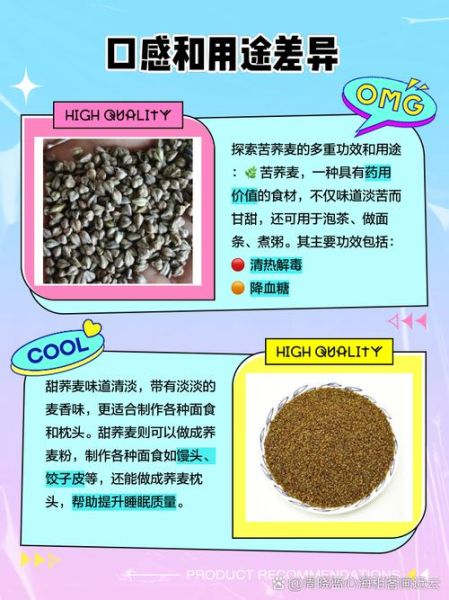 苦荞和荞麦的区别_苦荞是荞麦吗-第1张图片-山城妙识 苦荞和荞麦的区别_苦荞是荞麦吗-第1张图片-山城妙识