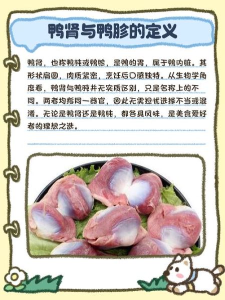 鸭胗和鸭肫的区别_鸭胗是鸭肫吗-第2张图片-山城妙识